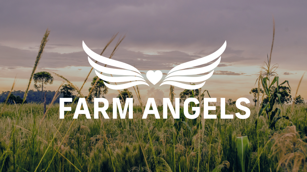 Habitat Mat | Beautiful Play Mats for Little Adventurers